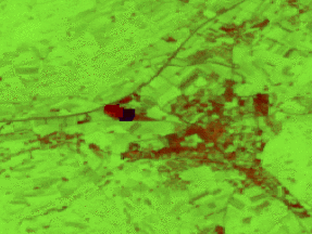 bulle – Swiss Data Cube (SDC)