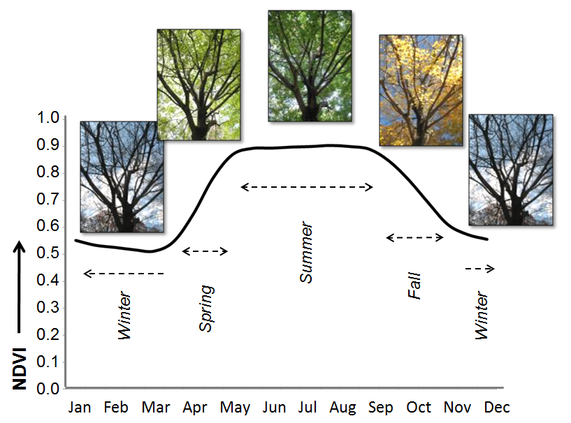 PhenoSwiss: Monitoring Land Surface Phenology over Switzerland using ...